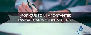 Qué Exclusiones Debo Tener en Cuenta al Elegir un Seguro - Noticia ...